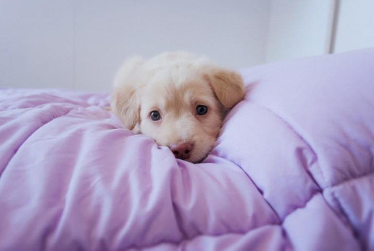 How Technology Affects Your Sleep? | TechEntice