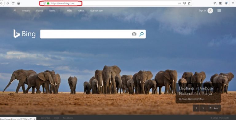 Is Bing Redirect Dangerous For Mac? - Tech Entice