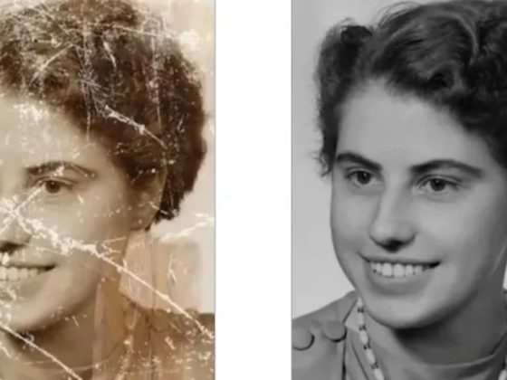 How to make Jupyter Notebook to run on GPU? | TechEntice